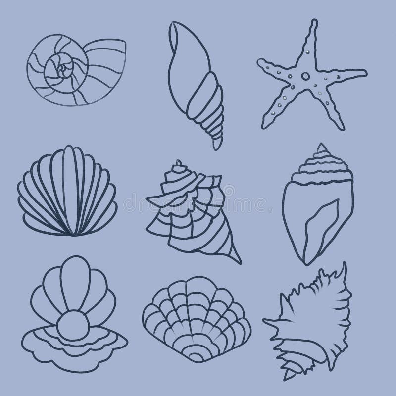 Marine: Blue Shells on a White Background Stock Illustration ...
