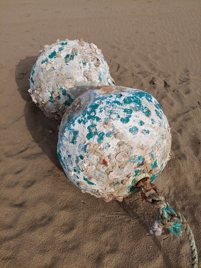 Texture of Shellfish on the Surface of an Old Buoy Stock Image - Image ...
