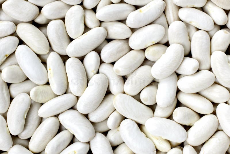 Snijboon, Witte Erwt, Ruwe Gemeenschappelijke Bonen, De Witte Textuur ...