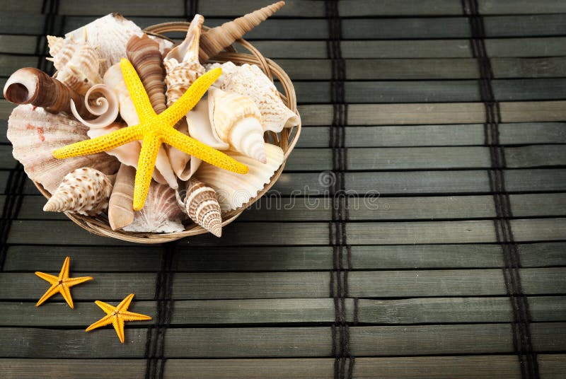 Marine still life. stock image. Image of memo, seashell - 28248511