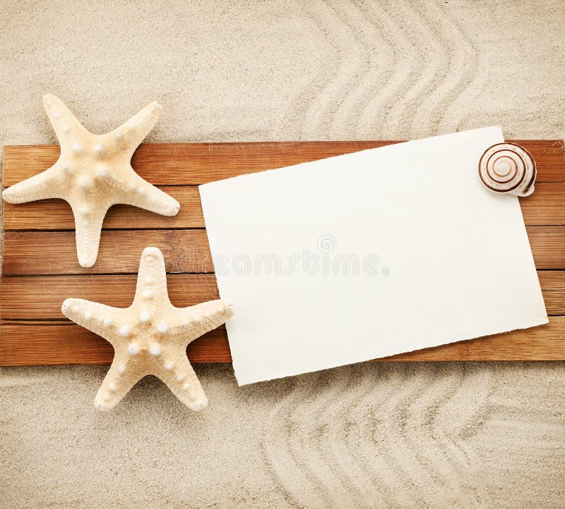 Marine still life. stock photo. Image of starfish, coast - 28566808
