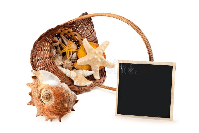 Marine still life. stock photo. Image of black, life - 29065118