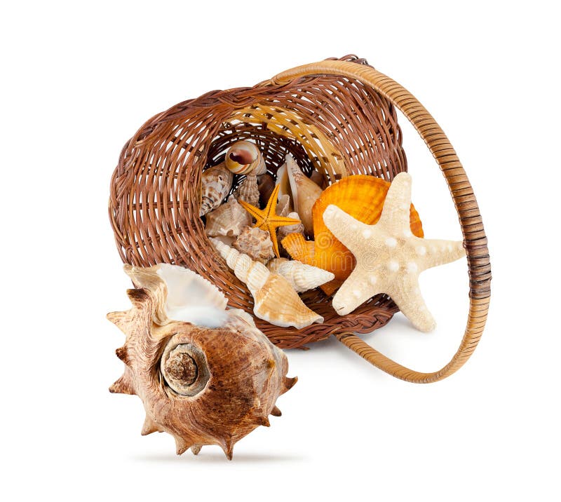 Marine still life. stock image. Image of composition - 29065131