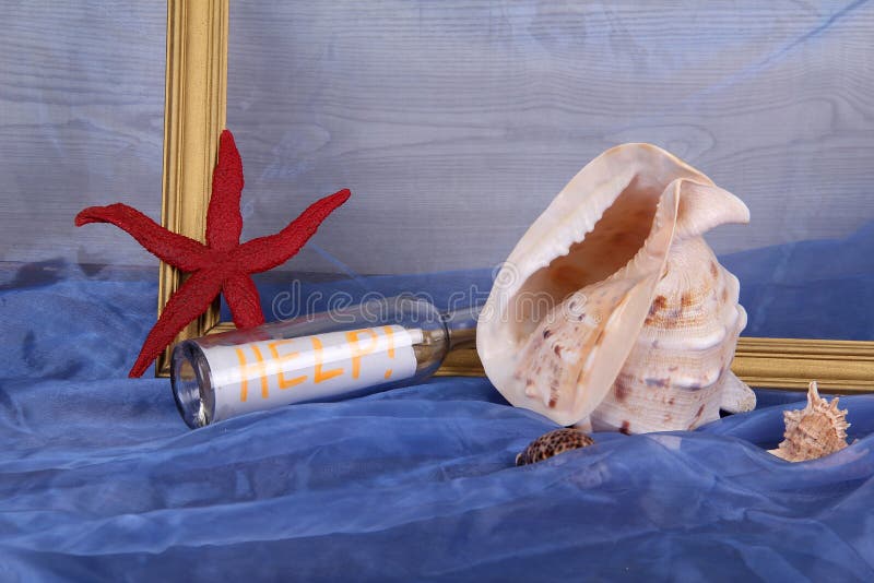 Marine still life stock image. Image of composition, design - 71403767