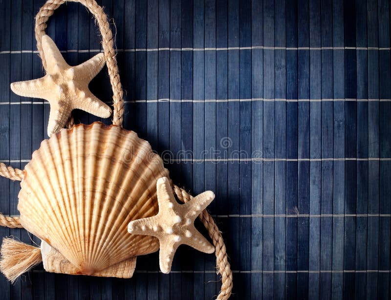 Marine still life. stock image. Image of obsolete, seashell - 37092003