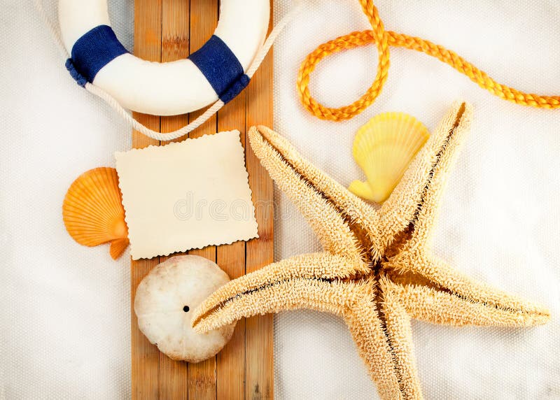 Marine still life. stock photo. Image of seastar, seashell - 32084932