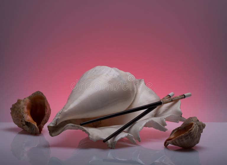 Marine still life stock image. Image of stilllife, marine - 71905859