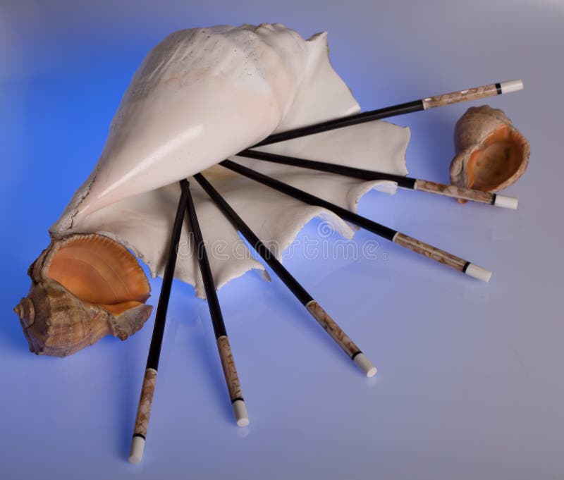 Marine still life stock photo. Image of shells, sushisticks - 71905866