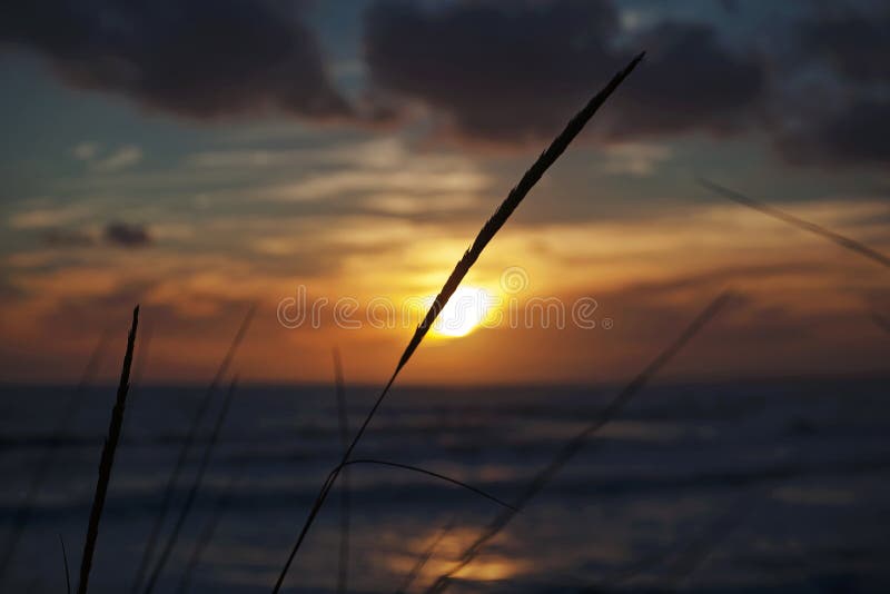 Marine sunset stock image. Image of coast, cloud, morning - 49973055