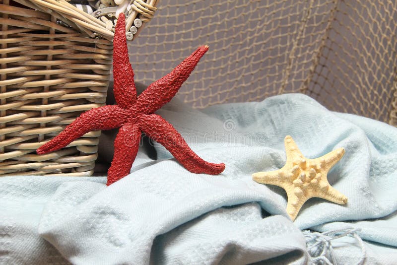 The marine theme stock photo. Image of elements, theme - 77219008