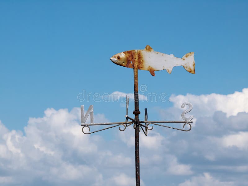 South Pointing Fish Stock Photos - Free & Royalty-Free Stock Photos ...