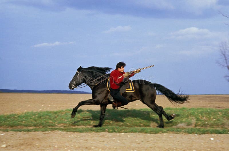 Mario Luraschi Stunt and Horse Show Editorial Photo - Image of movement ...