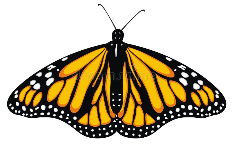 Mariposa, Elemento Para El Diseño, Ilustración Del Vector Ilustración ...