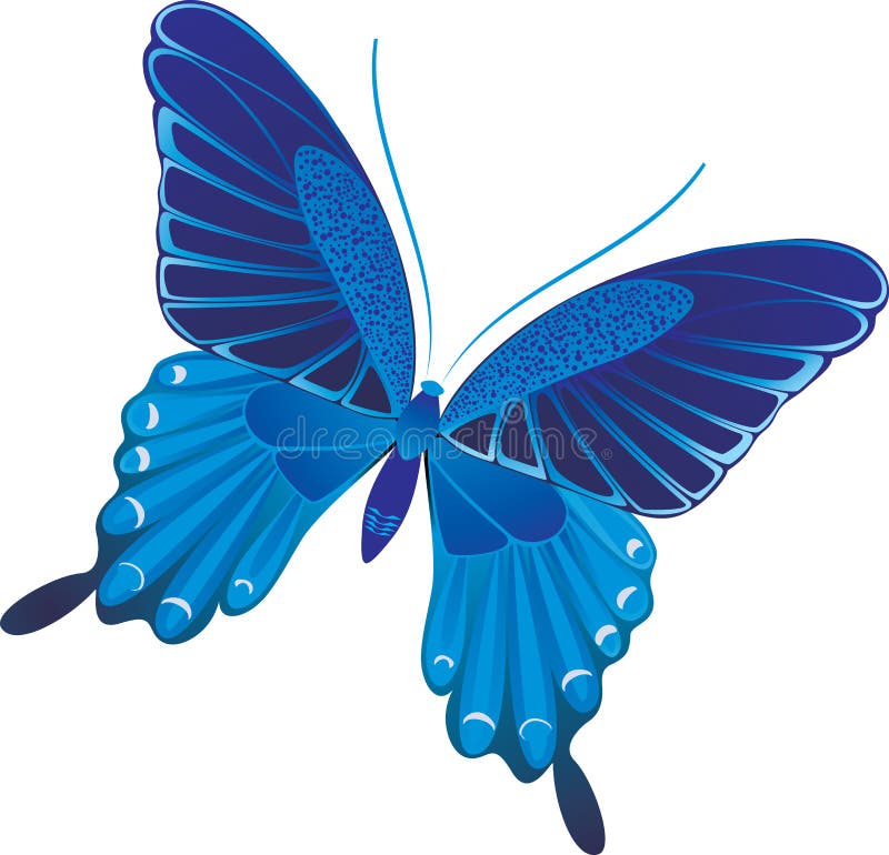 Mariposa azul ilustración del vector. Ilustración de animal - 21763131