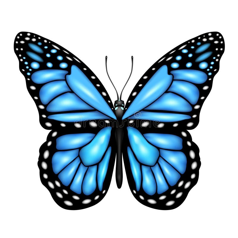 Mariposa azul ilustración del vector. Ilustración de fondo - 38890505