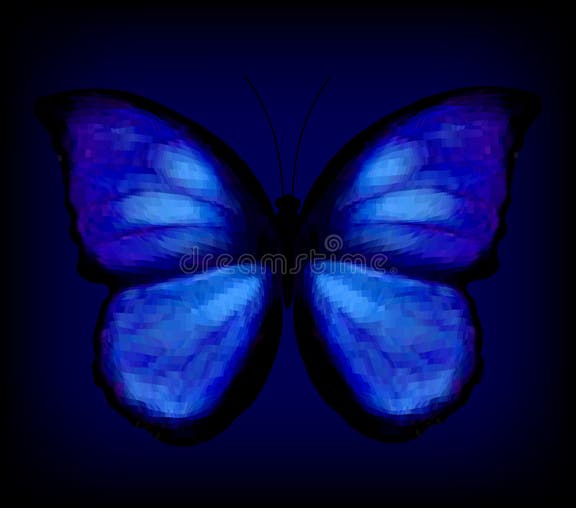 Mariposa azul. Vector ilustración del vector. Ilustración de insecto ...
