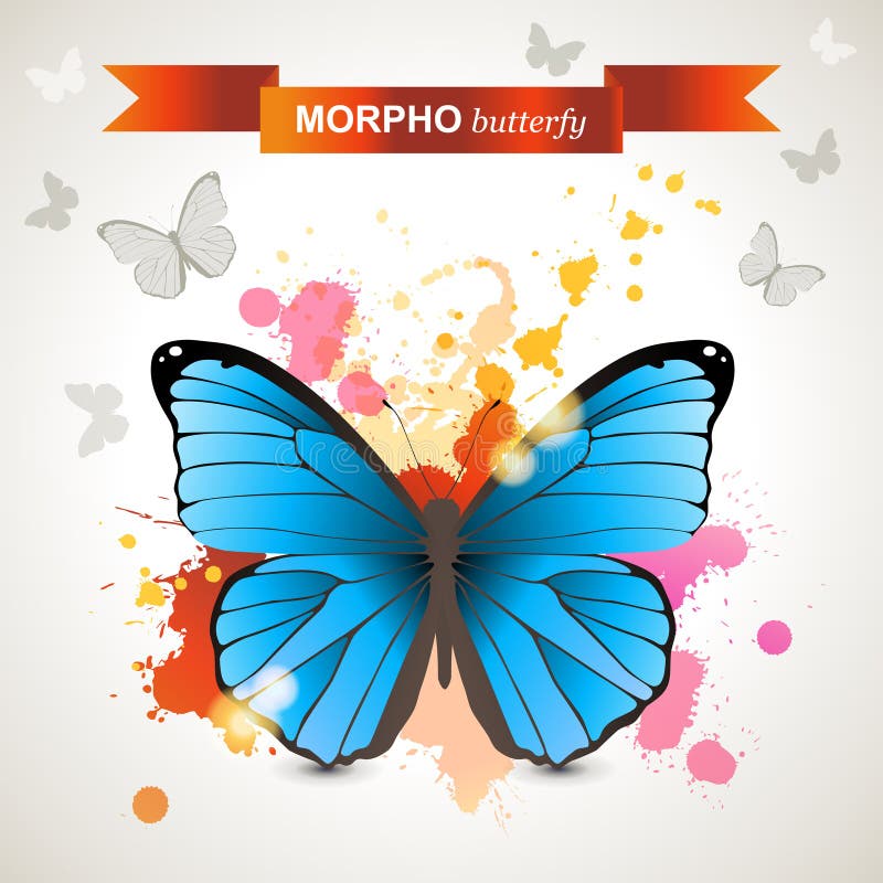 Mariposa de Morpho ilustración del vector. Ilustración de azul - 30482011