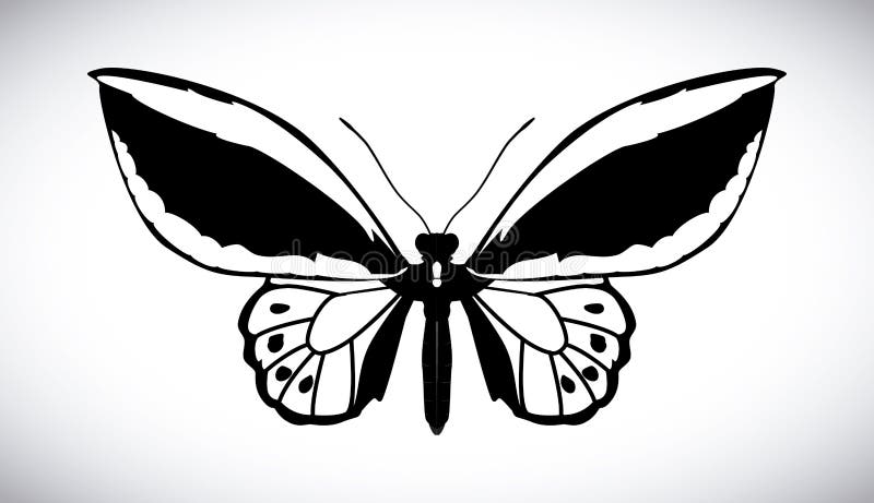 Mariposa Design ilustración del vector. Ilustración de arte - 42486189