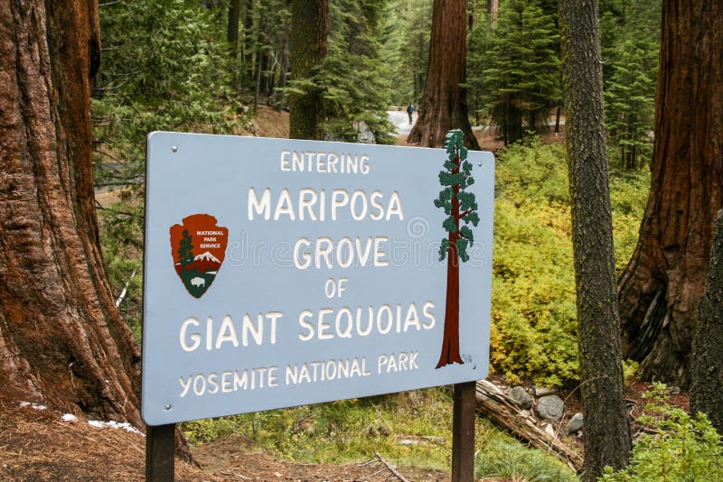 Mariposa Grove Sign stock photo. Image of coast, massive - 94307564
