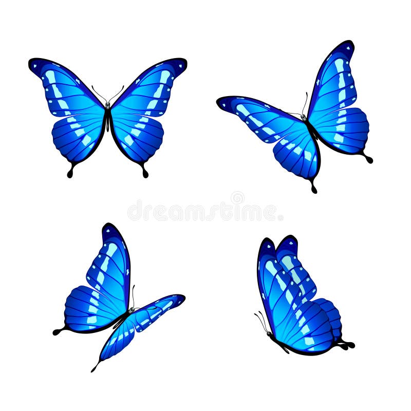 Mariposas azules ilustración del vector. Ilustración de animal - 39986180