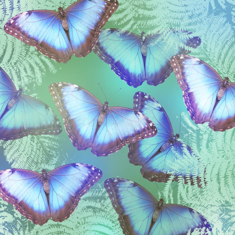 Collage De Mariposas Brillantes, Coloridas Foto de archivo - Imagen de ...