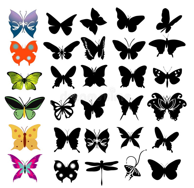 Mariposas del vector ilustración del vector. Ilustración de belleza ...