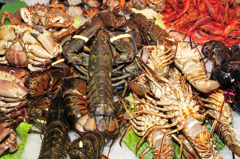 Marisco foto de stock. Imagem de peixes, lagosta, oceano - 17431880