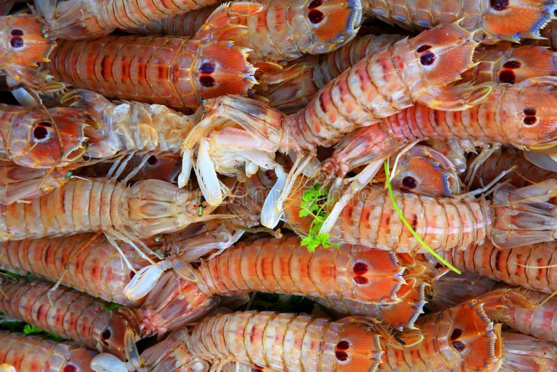 Marisco foto de stock. Imagem de turismo, olhos, alimento - 7413788