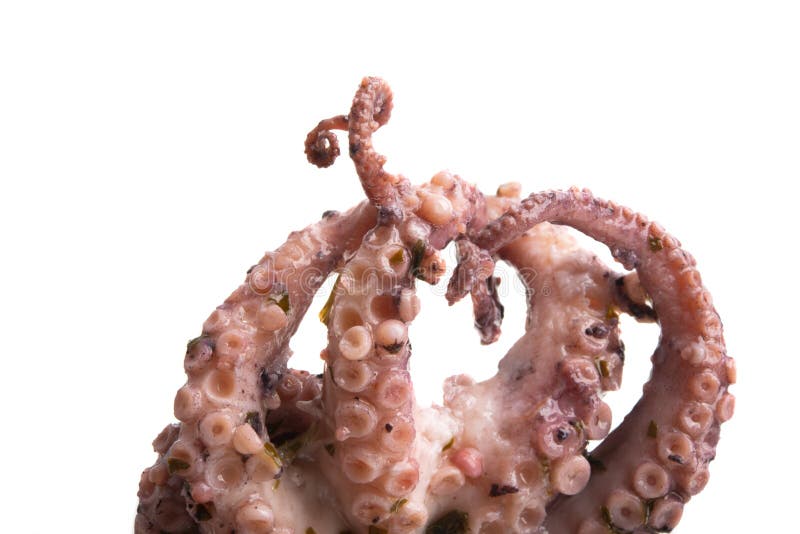 Marisco de pulpo aislado foto de archivo. Imagen de cocina - 185148856