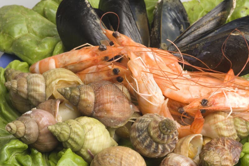 Mariscos imagen de archivo. Imagen de pescados, fresco - 3095981