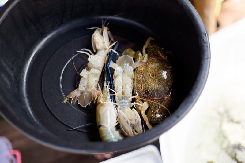 Mariscos Vivos Tailandeses En Restaurante Imagen de archivo - Imagen de ...