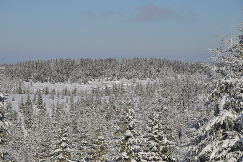 Winter Lanscape with Forest and Houses Near Marisel Village, Apuseni ...