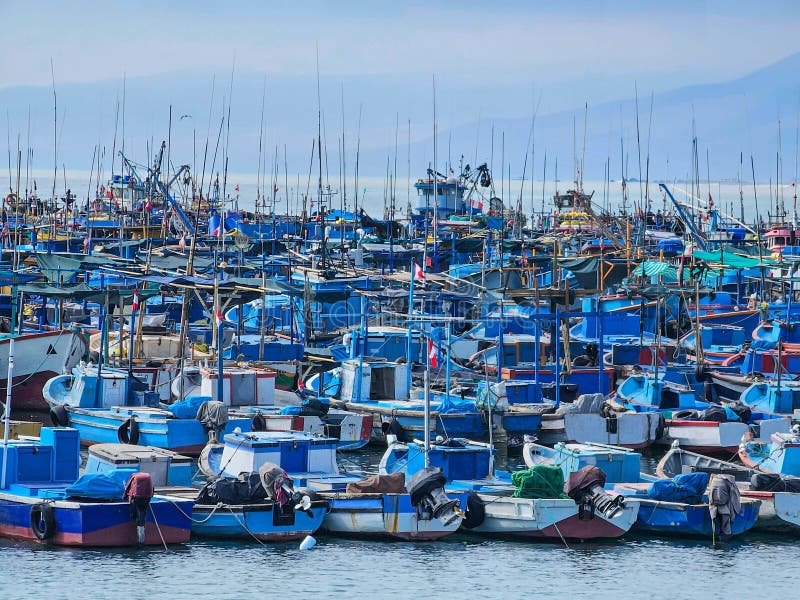 Maritime Port with Many Boats and Ships, with a View of the Port at ...