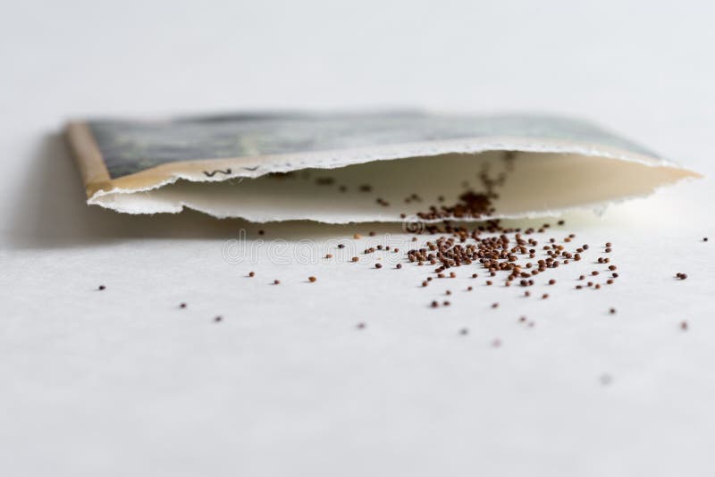1,765 Seed Packet Stock Photos - Free & Royalty-Free Stock Photos from ...