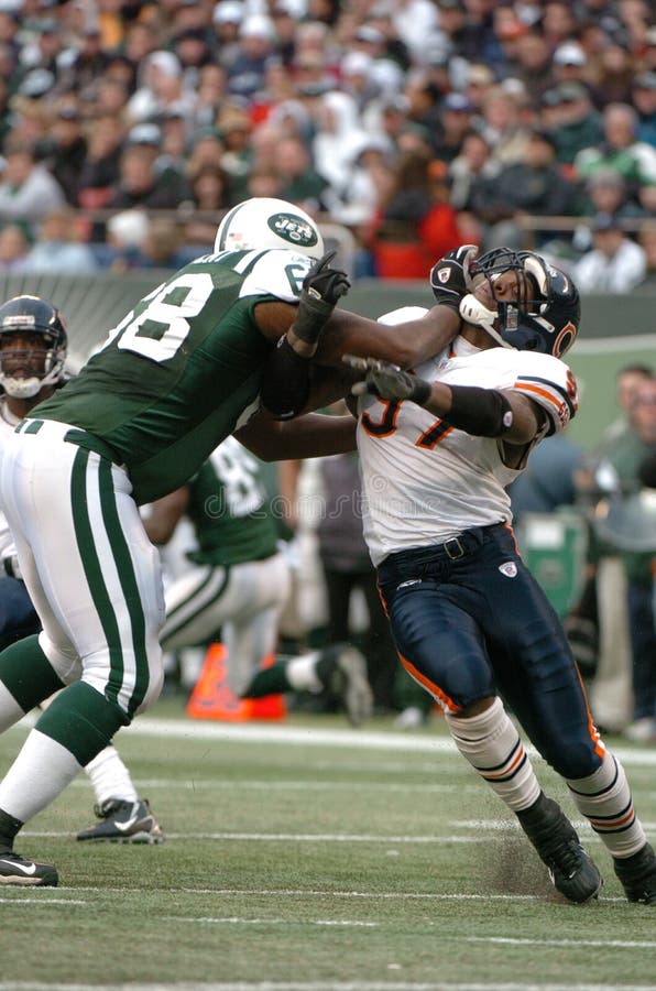 Mark Anderson editorial photo. Image of chicago, bears - 74431836