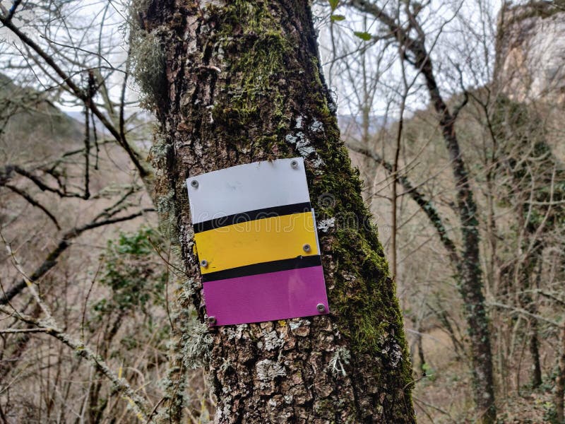 Mark of Hiking GR on Tree in a Forest Stock Image - Image of paint ...