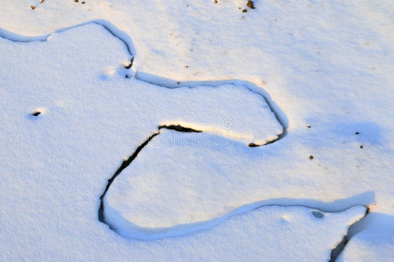 Mark in the snow and ice stock photo. Image of desolation - 366329114
