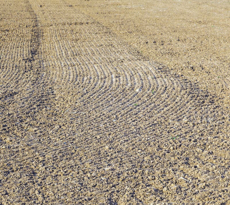 Tire Path in Field stock image. Image of grass, road - 20818429