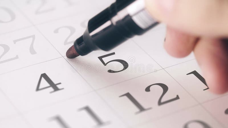 Marked the Fifth 5 Day of a Month in the Calendar Transforms into SAVE ...