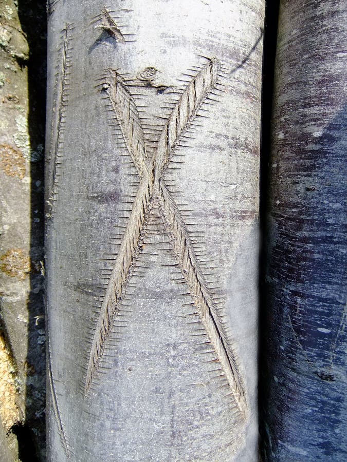 Marked Log stock image. Image of pile, material, abstract - 118782747