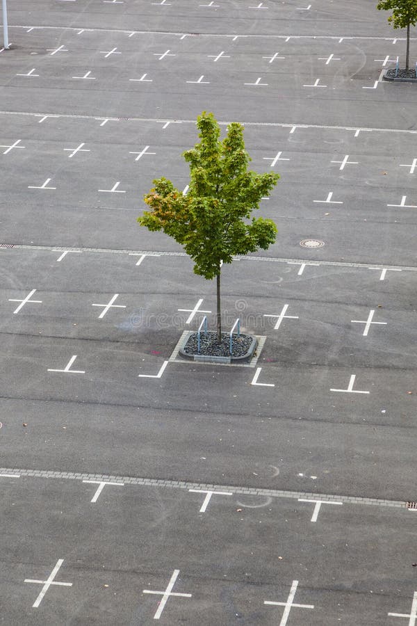 Marked Parking Lot without Cars Stock Image - Image of transportation ...