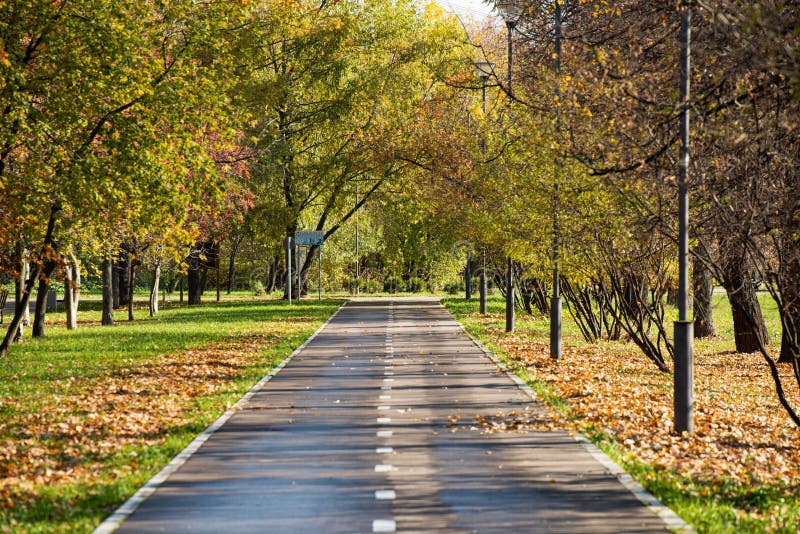 A Marked Path in an Autumn Park for Recreation, Trees with Green ...