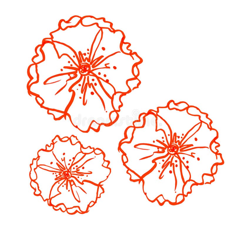 Marker Bright Red Flower with Leaves Hand Drawn Line Stroke Pattern ...