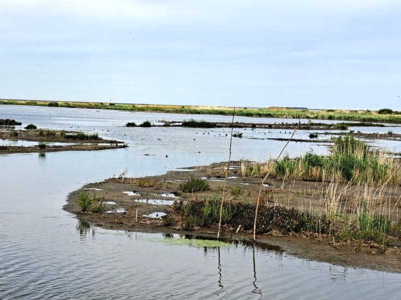 Marker Wadden. Man Made Land in Holland 1 Stock Image - Image of land ...