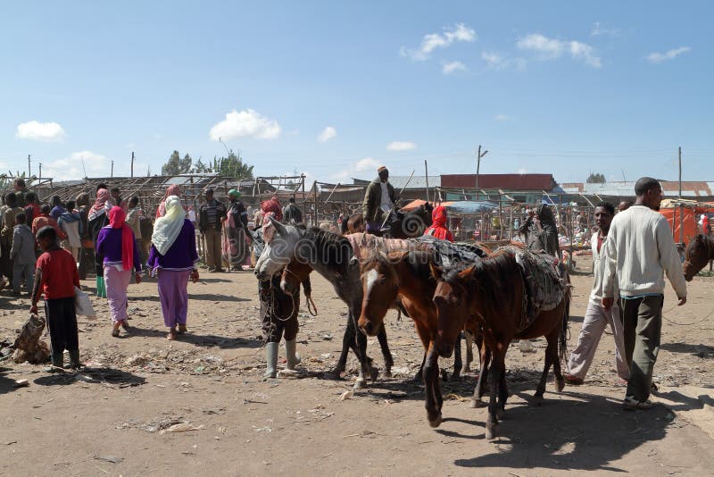 Awassa Stock Photos - Download 318 Royalty Free Photos