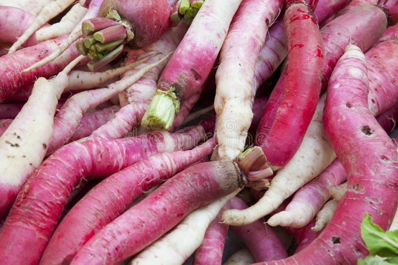 Fresh radishes stock photo. Image of vegetable, organic - 35749662