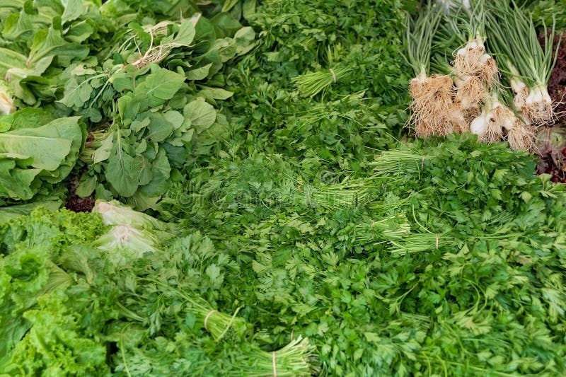 Market with greenery stock photo. Image of garden, flora - 180615190