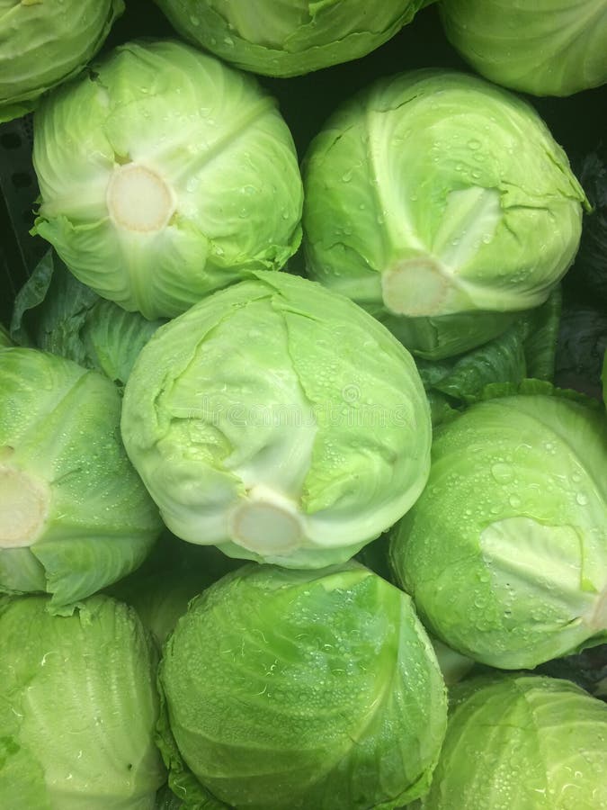 Market Lettuce stock photo. Image of lettuce, ripened - 50753220