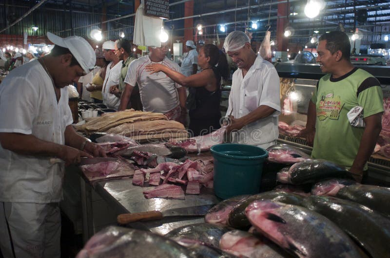 Market in Manaus. Brazil editorial stock image. Image of seafood - 34773689