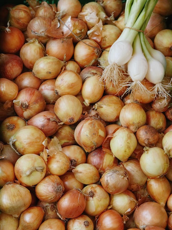 Market onions stock image. Image of wallpaper, background - 69938349